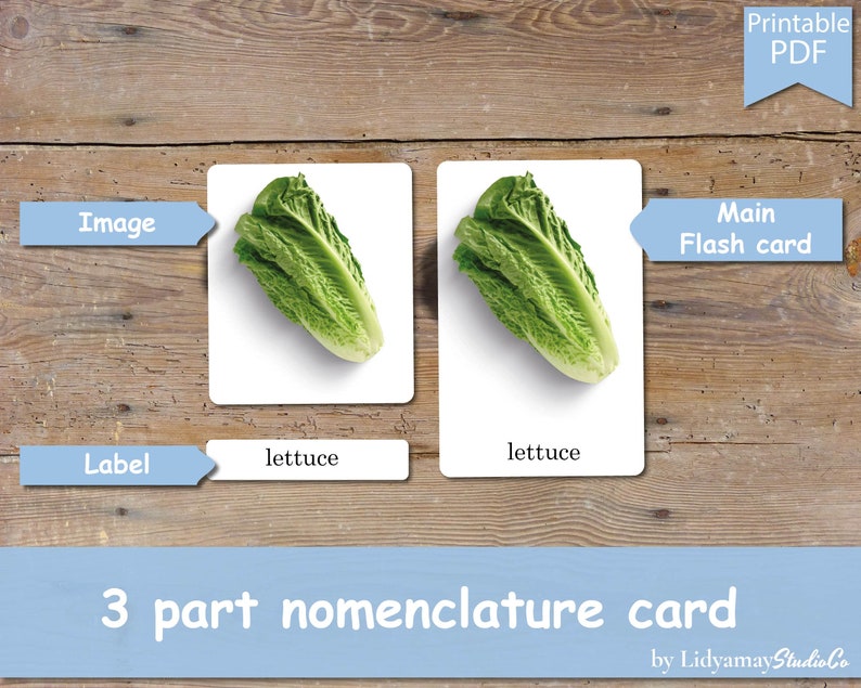 EMOTIONS 24 Real Picture Flashcards Three-part Nomenclature - Etsy