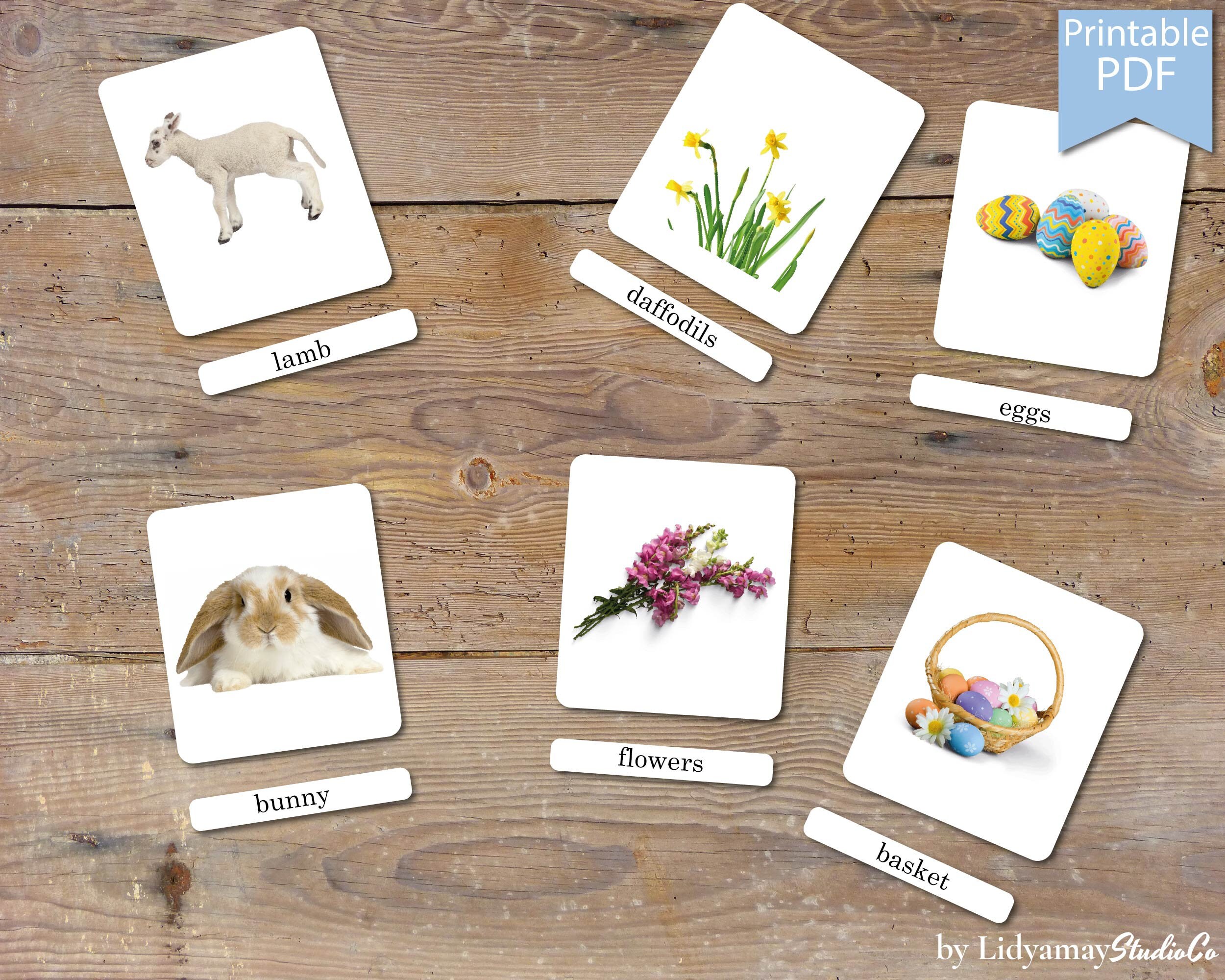 EASTER VOCABULARY 9 Flashcards, Three-part Nomenclature Cards, Learning ...