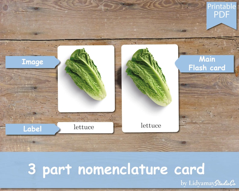 SOLAR SYSTEM 15 Flashcards, Three-part Nomenclature Cards, Learning ...