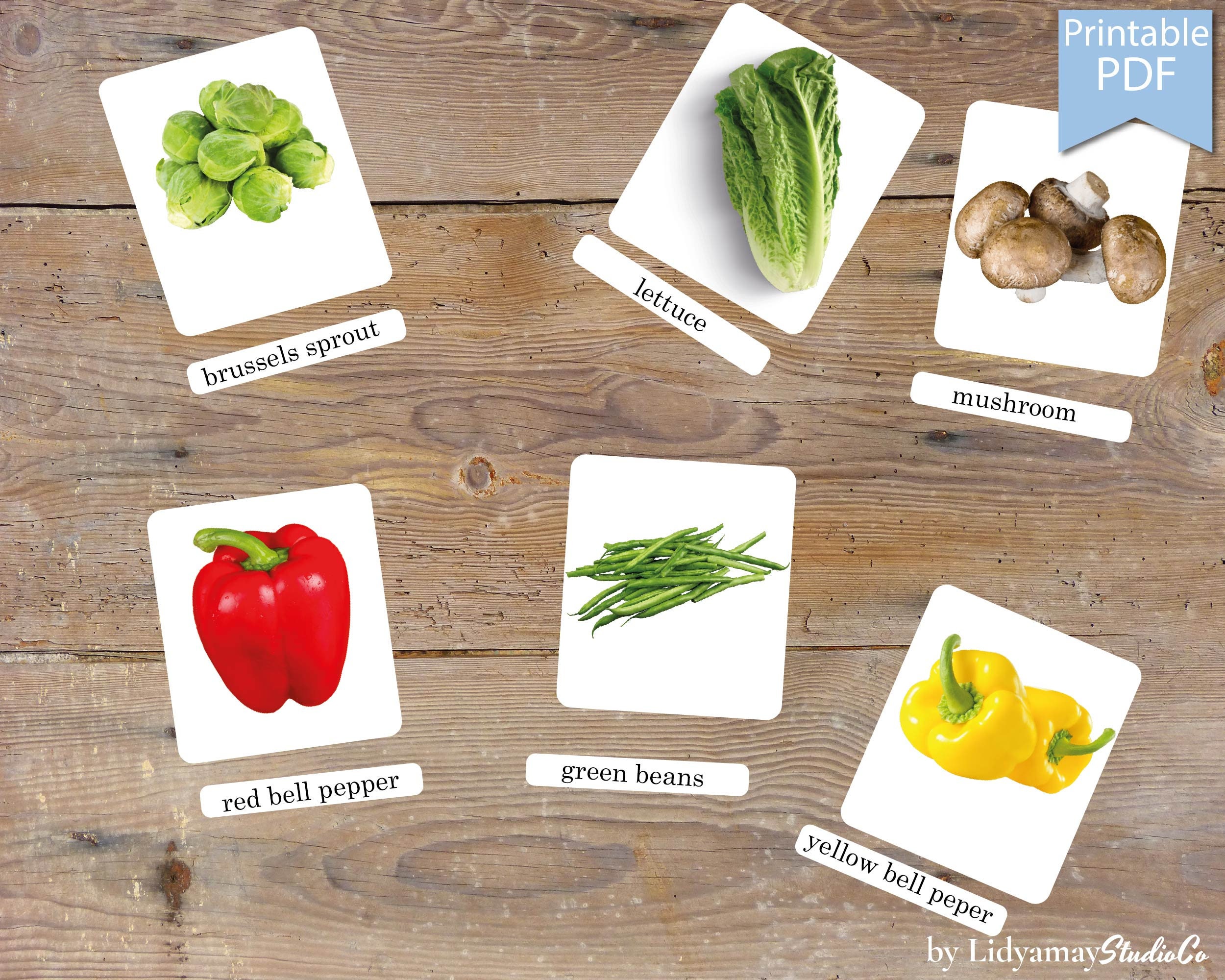 VEGETABLES 40 Real Picture Flashcards, Three-part Nomenclature Cards ...