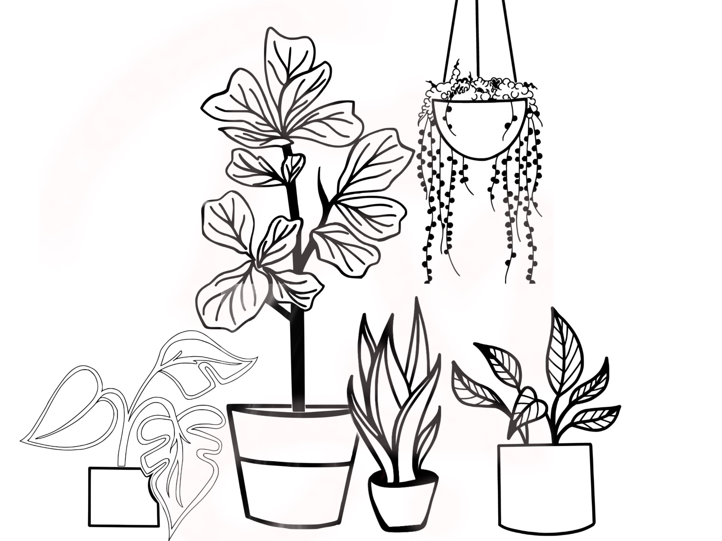 House Plants Svg Files - Etsy