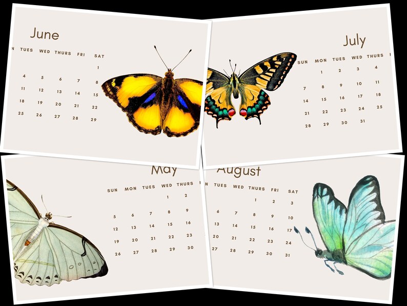 2024 Butterflies Calendar Printable Sunday Start Butterflies Wall ...