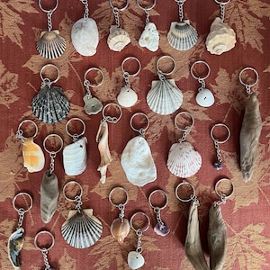 5 Seashell Keychains (wood and Rocks Too) - Etsy