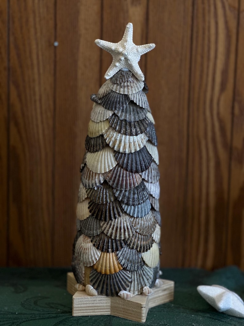 Scallop Shell Tree - Etsy