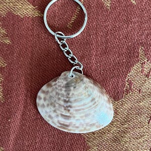 5 Seashell Keychains (wood and Rocks Too) - Etsy