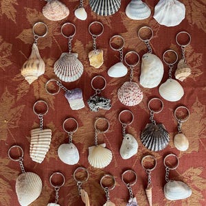 5 Seashell Keychains (wood and Rocks Too) - Etsy