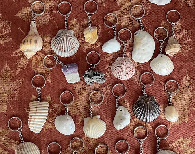 Scallop Shell Tree - Etsy