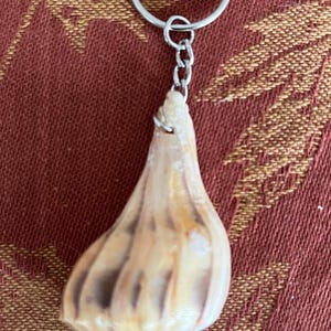 5 Seashell Keychains (wood and Rocks Too) - Etsy