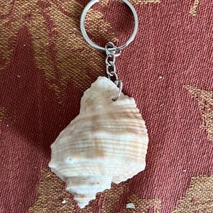 5 Seashell Keychains (wood and Rocks Too) - Etsy