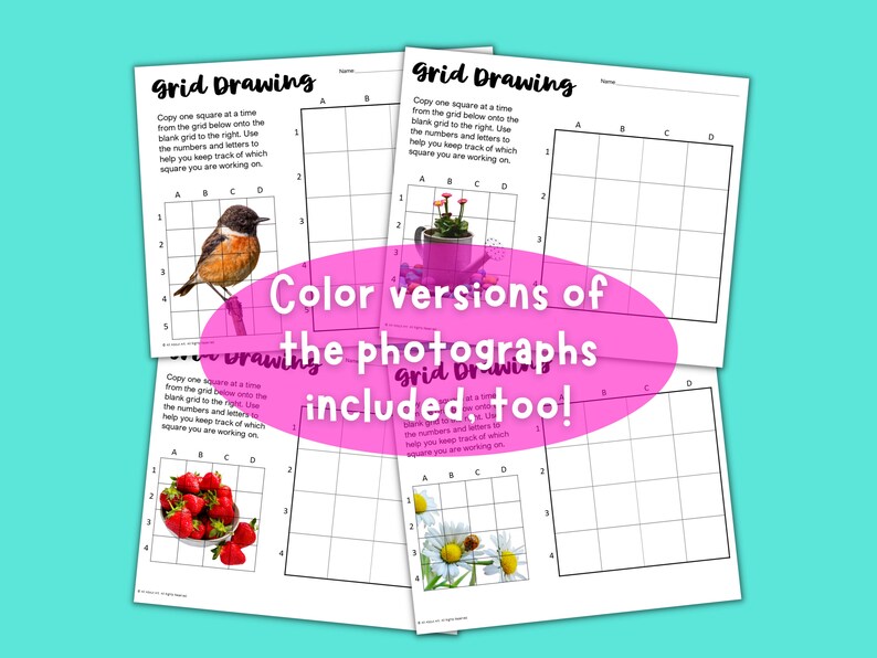 Spring Grid Drawing Worksheets - Flowers, Birds, Bugs Grid Method Art ...