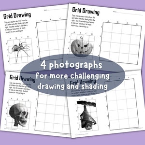 Halloween Grid Drawing Worksheets – Jack-o-lantern, Bats, Skulls ...
