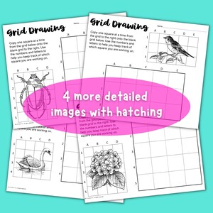 Spring Grid Drawing Worksheets - Flowers, Birds, Bugs Grid Method Art ...