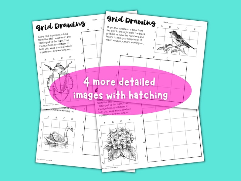 Spring Grid Drawing Worksheets - Flowers, Birds, Bugs Grid Method Art ...