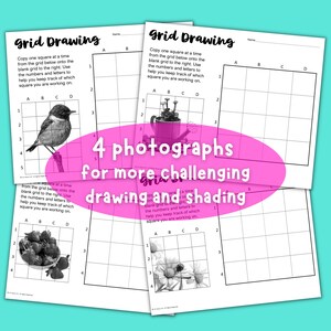 Spring Grid Drawing Worksheets - Flowers, Birds, Bugs Grid Method Art ...