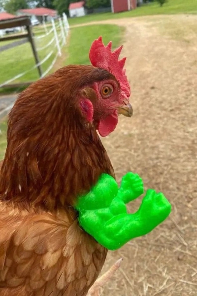 Hulk Chicken Arms - 3D Printed - Etsy