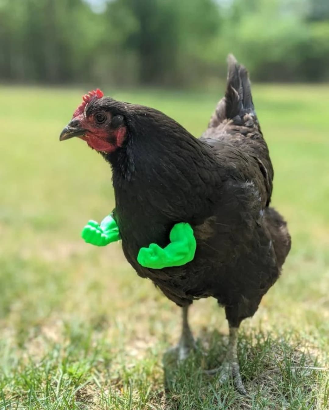 Hulk Chicken Arms - 3D Printed - Etsy