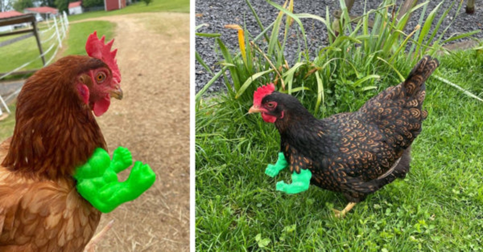 Hulk Chicken Arms - 3D Printed - Etsy