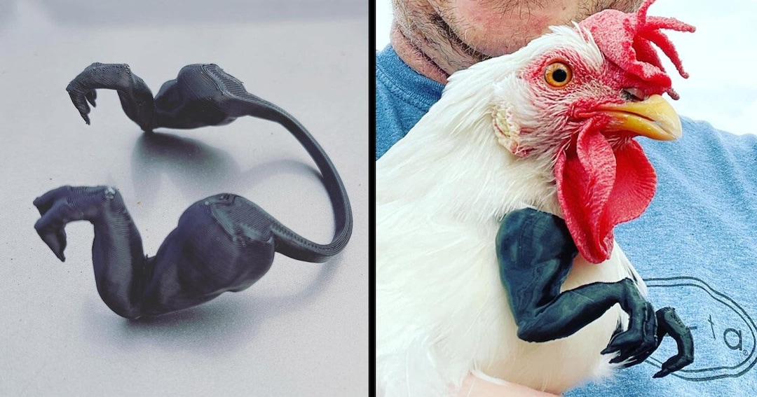 Dinosaur Chicken Arms T-REX - 3D Printed - Etsy