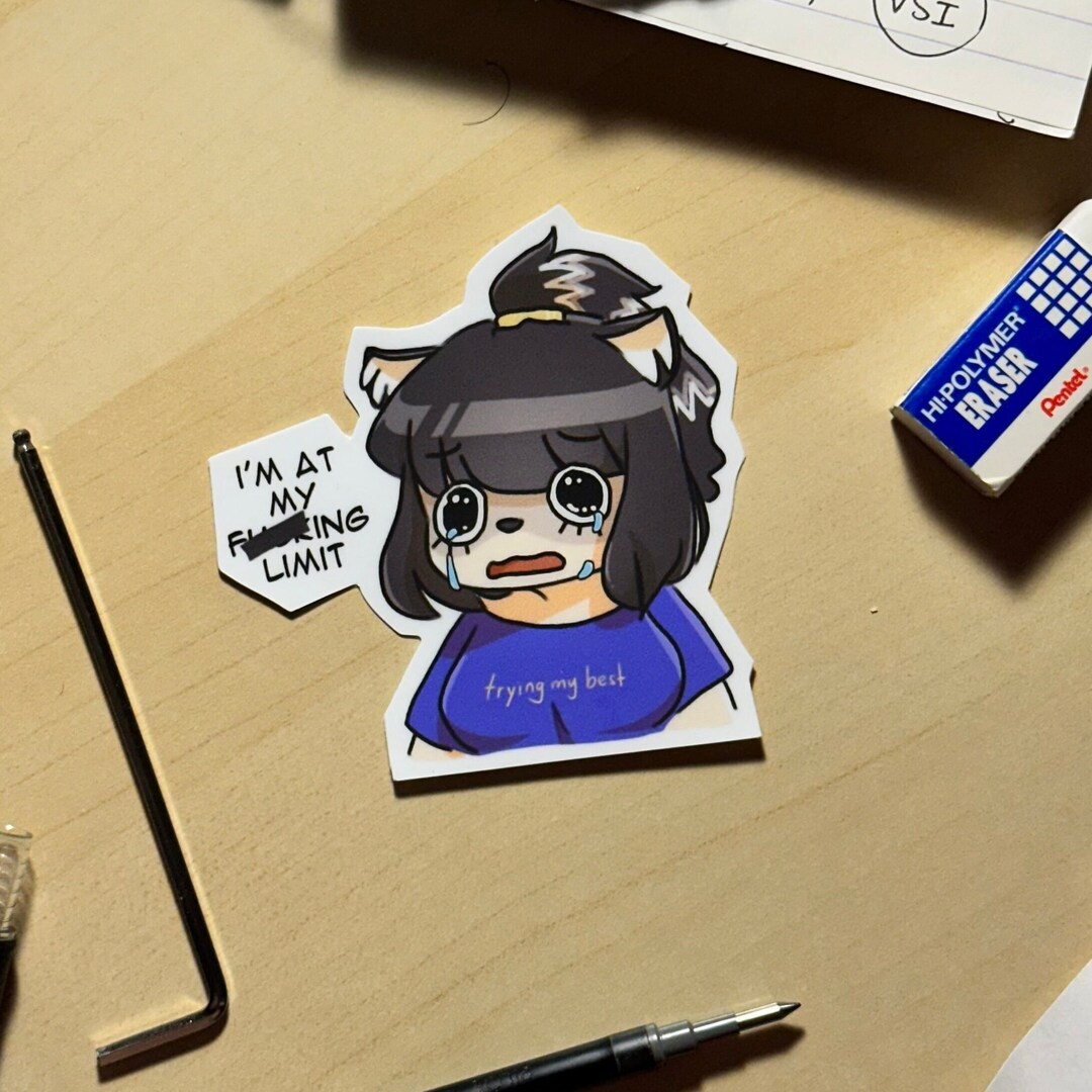 UCSD Raccoon Girl "finals" Sticker - Etsy