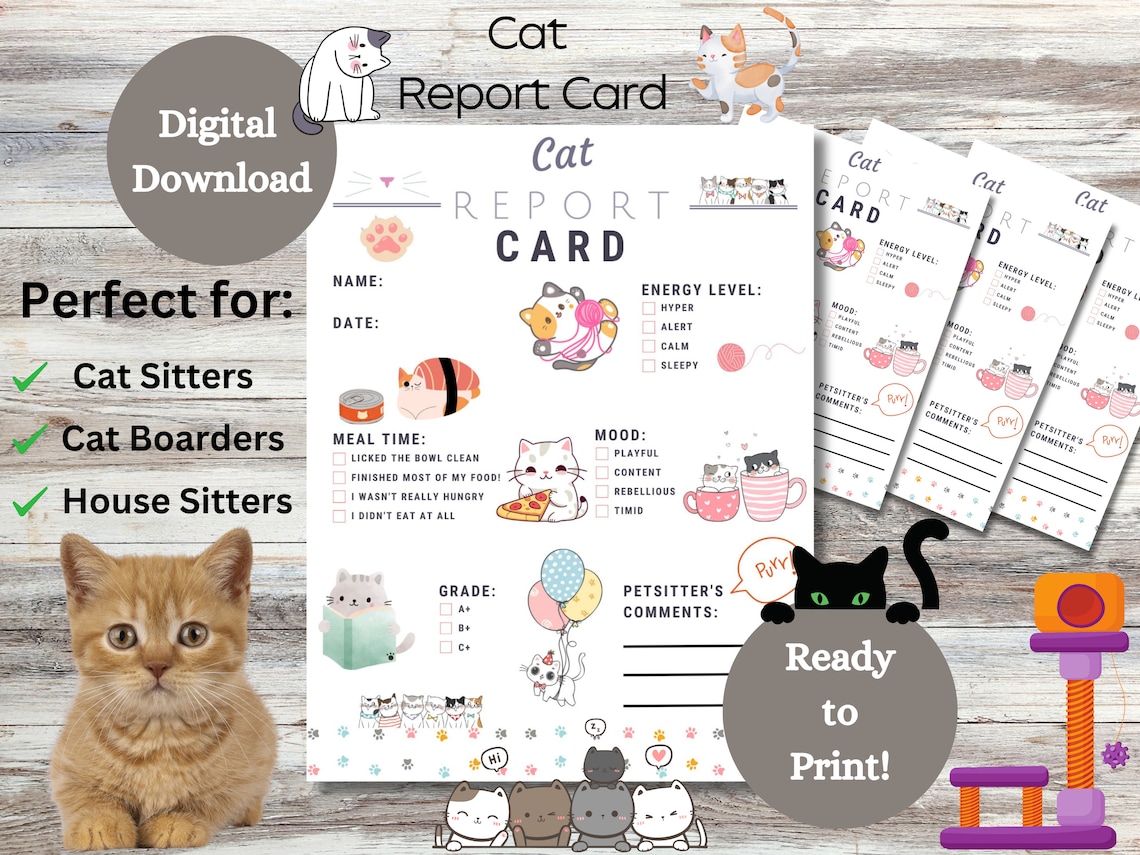 Cat Report Card Template, Instant Download Pet Report Card, Kitten ...