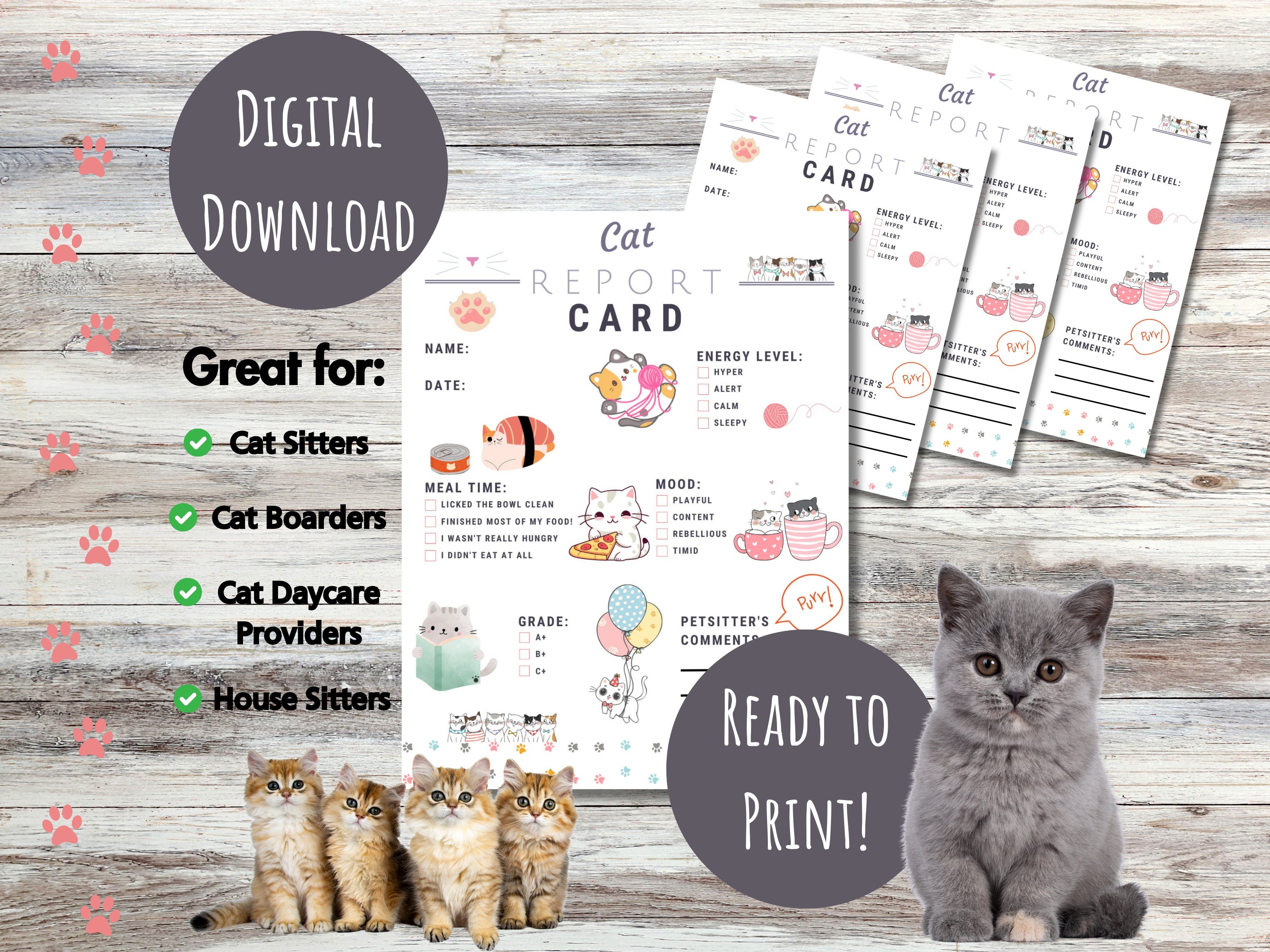 Cat Report Card Template: Pet Sitter Grooming Form (digital Download ...