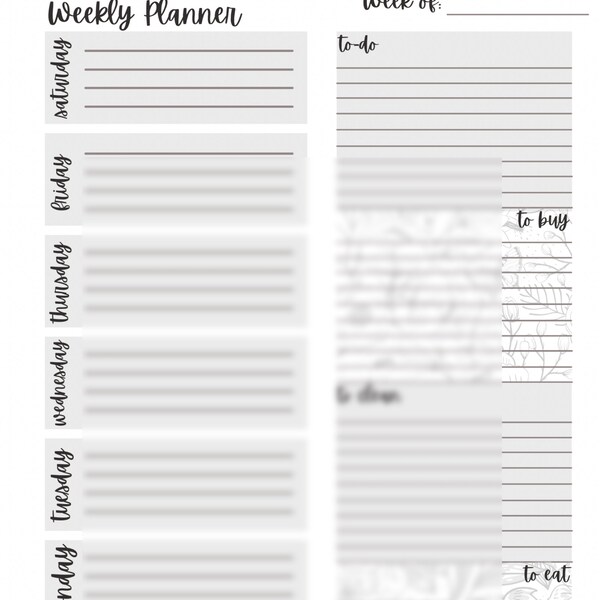 Medical Coding X-ray CPT Quick Reference Cheat Sheet Codes List - Etsy