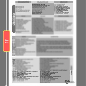 Medical Coding Cardiology ICD-10 Quick Reference Cheat Sheet Codes List ...