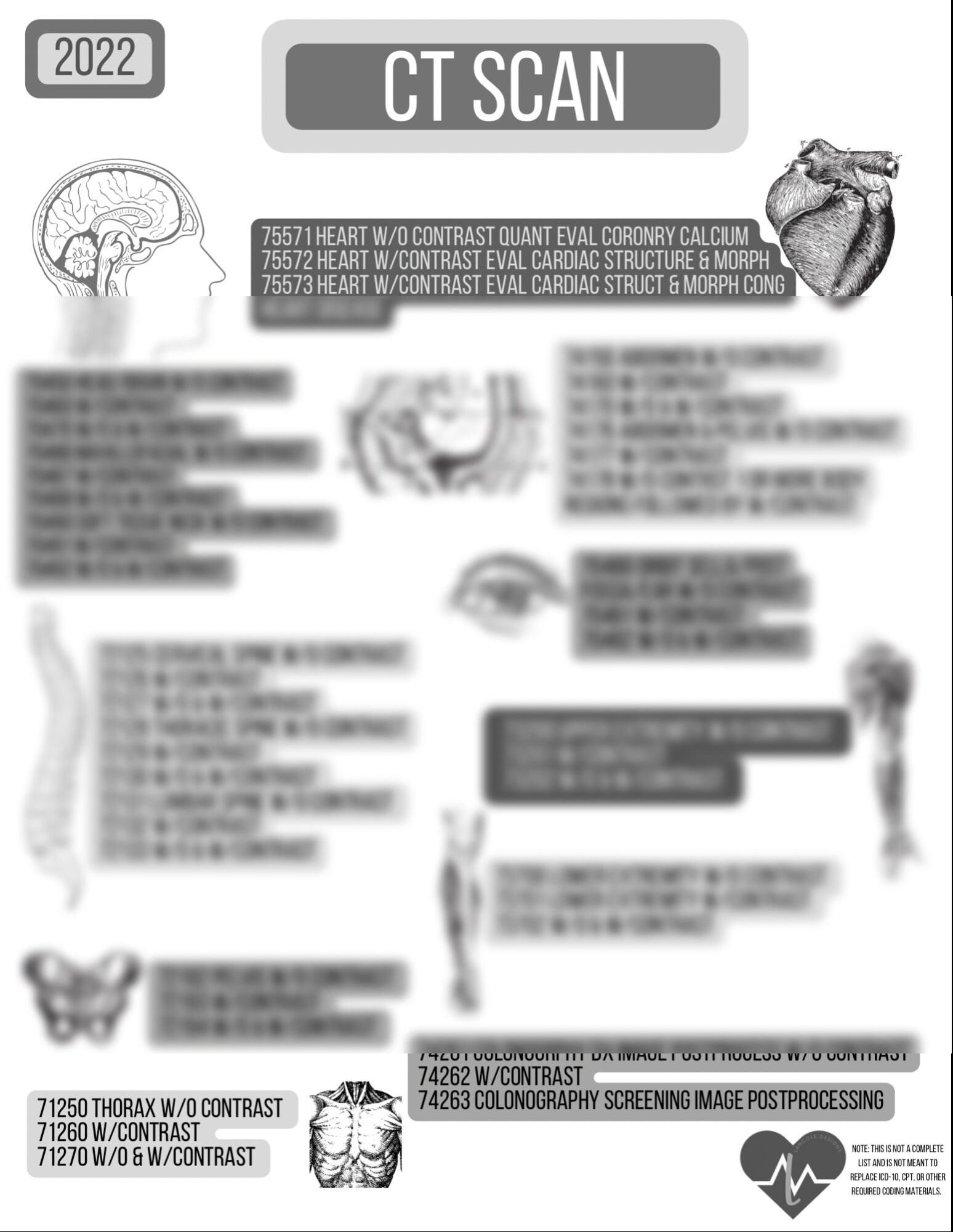 Medical Coding CT Scan CPT Quick Reference - Etsy