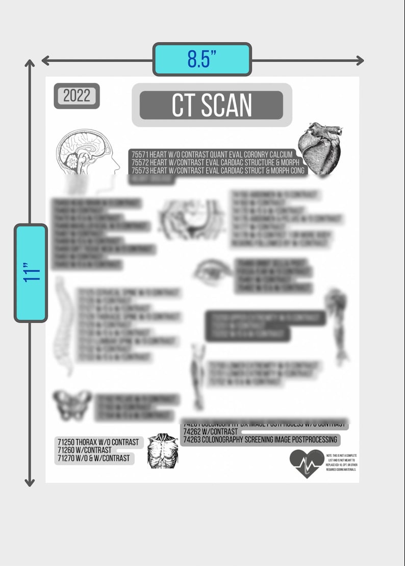 Medical Coding CT Scan CPT Quick Reference - Etsy