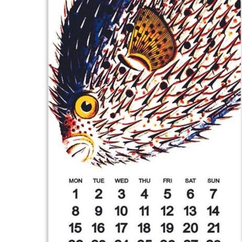 Colorful Fish Print Calendar 2025 by Studio Lichtenborg - Etsy