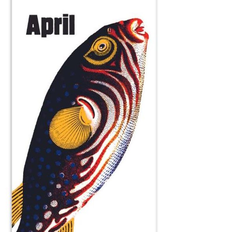 Colorful Fish Print Calendar 2025 by Studio Lichtenborg - Etsy