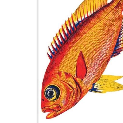 Colorful Fish Print Calendar 2025 by Studio Lichtenborg - Etsy