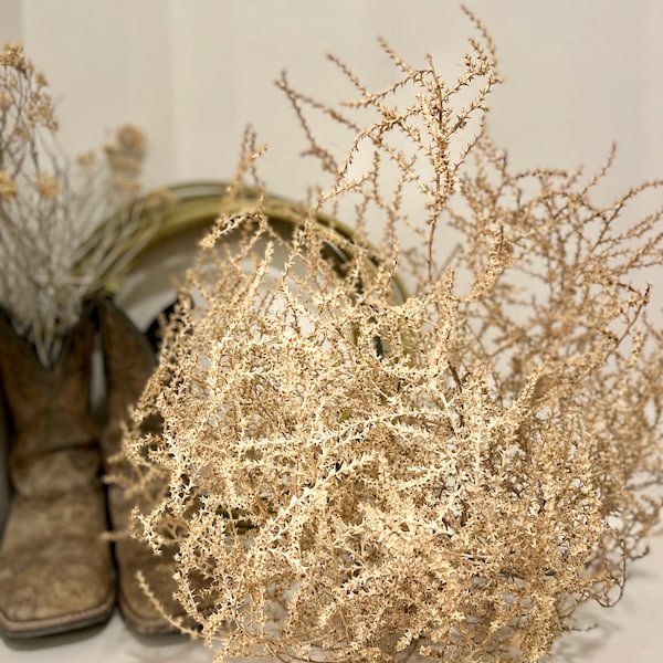 Tumbleweed - Etsy