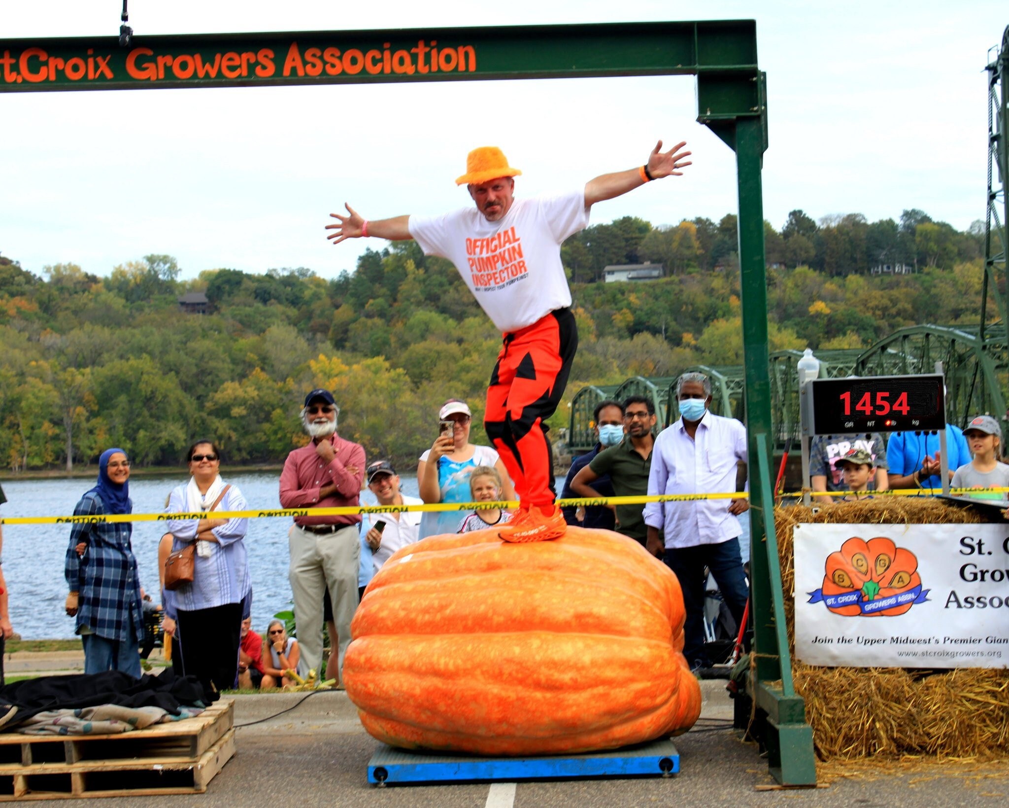 Giant Ginormous Pumpkin Seeds From a 1454lb X 1461lb Pumpkin With ...