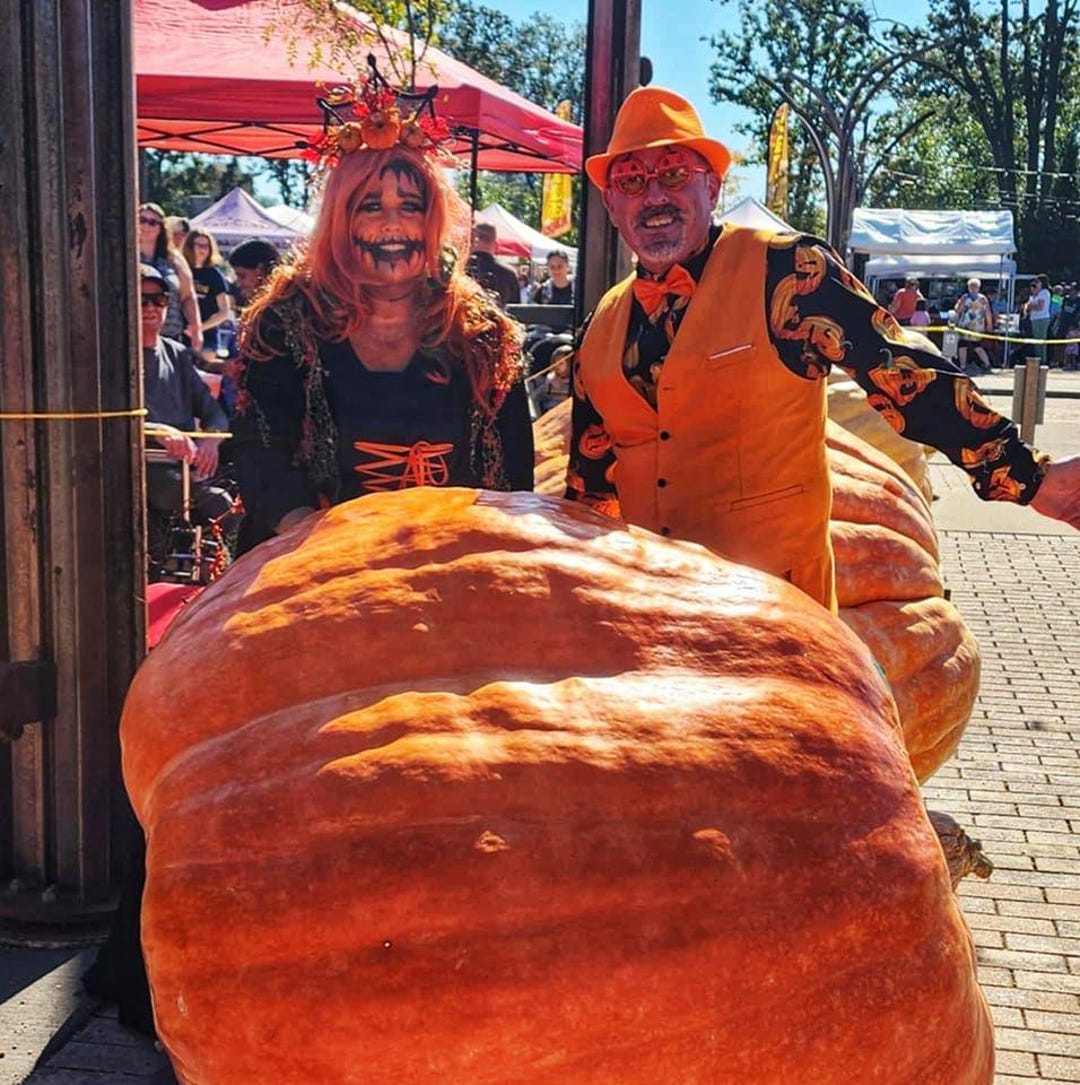 Premium Proven Giant Pumpkin Seeds From a 823lb X 1965 Lb Pumpkin That ...