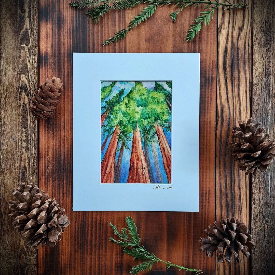 Majestic Giant Sequoia Trees | Watercolor Fine Art Giclee Print | Hand ...