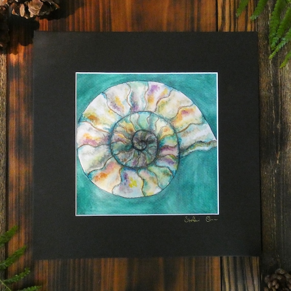 Ammonite Fossil Art
