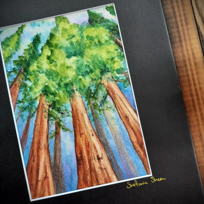 Majestic Giant Sequoia Trees | Watercolor Fine Art Giclee Print | Hand ...