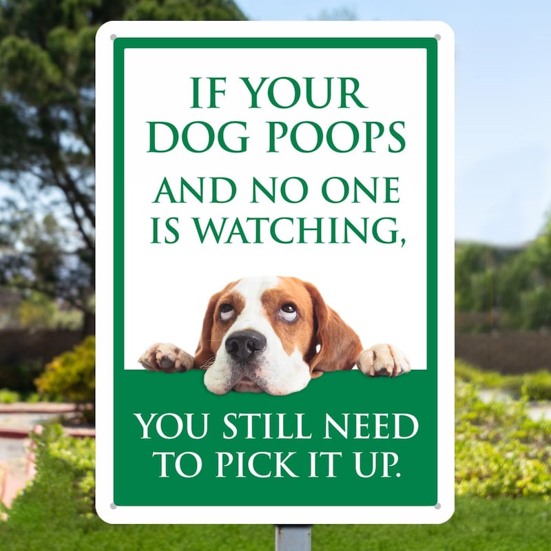 Poop Funny Videos - Etsy