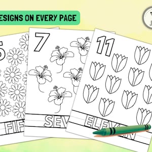 Flower Numbers 1-20 Coloring Book | Coloring Pages | Kindergarten ...