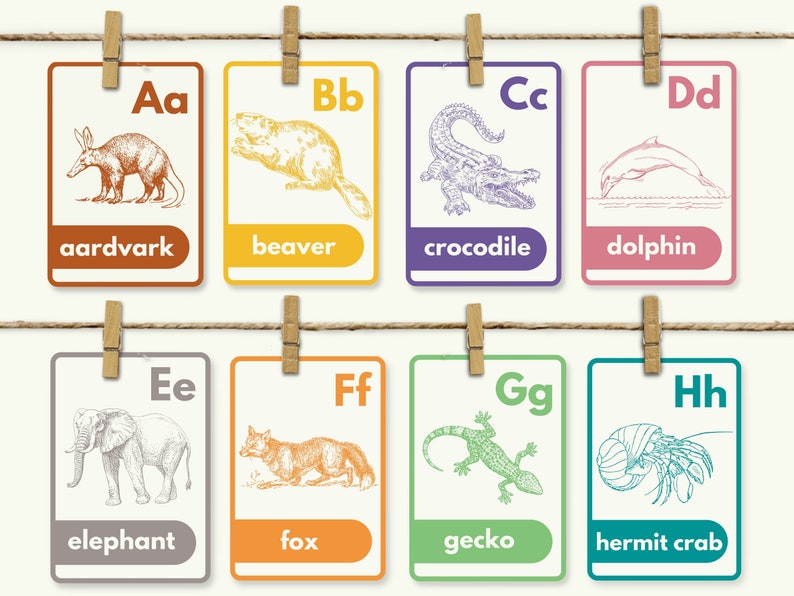 Animal ABC Alphabet Flash Cards Alphabet Cards Kindergarten Activity ...