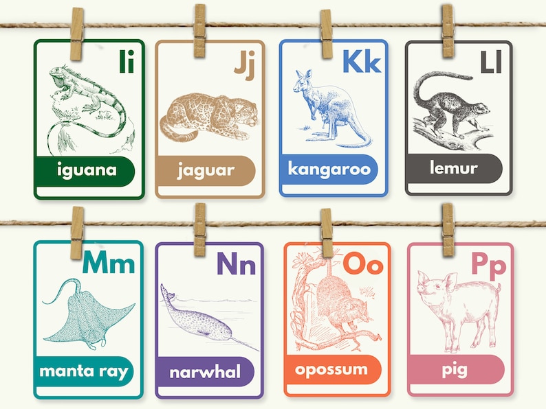 Animal ABC Alphabet Flash Cards Alphabet Cards Kindergarten Activity ...