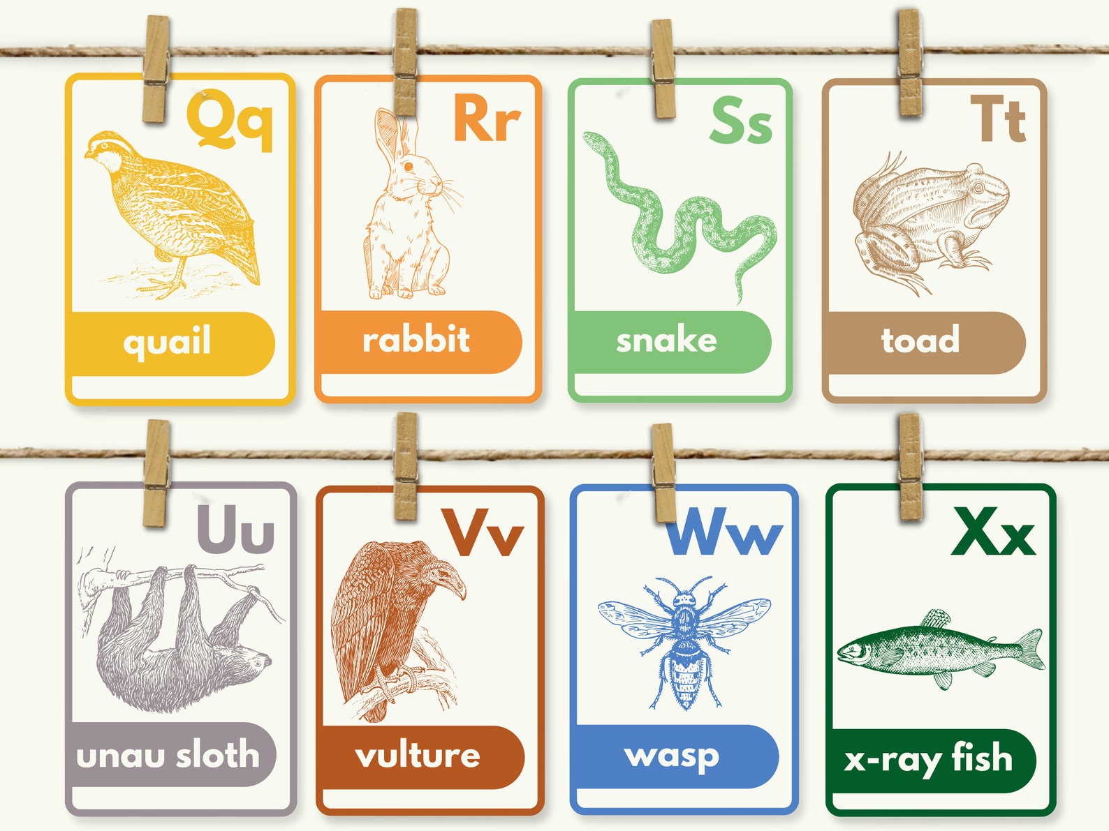 Animal ABC Alphabet Flash Cards Alphabet Cards Kindergarten Activity ...