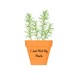 Garden Label SVG Bundle Plant Labels for Vegetable Garden Funny Plant ...