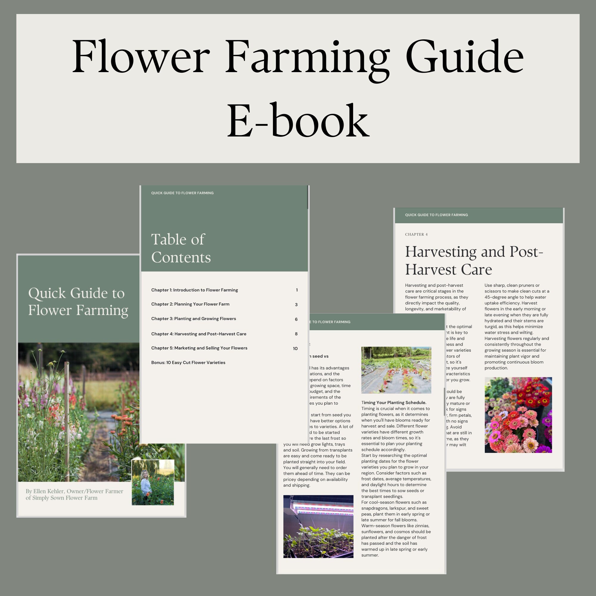 Guide to Flower Farming Ebook Learn How to Grow Flowers for Profit ...