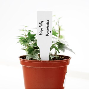 Garden Label SVG Bundle Plant Labels for Vegetable Garden Funny Plant ...