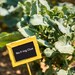 Garden Label SVG Bundle Plant Labels for Vegetable Garden Funny Plant ...