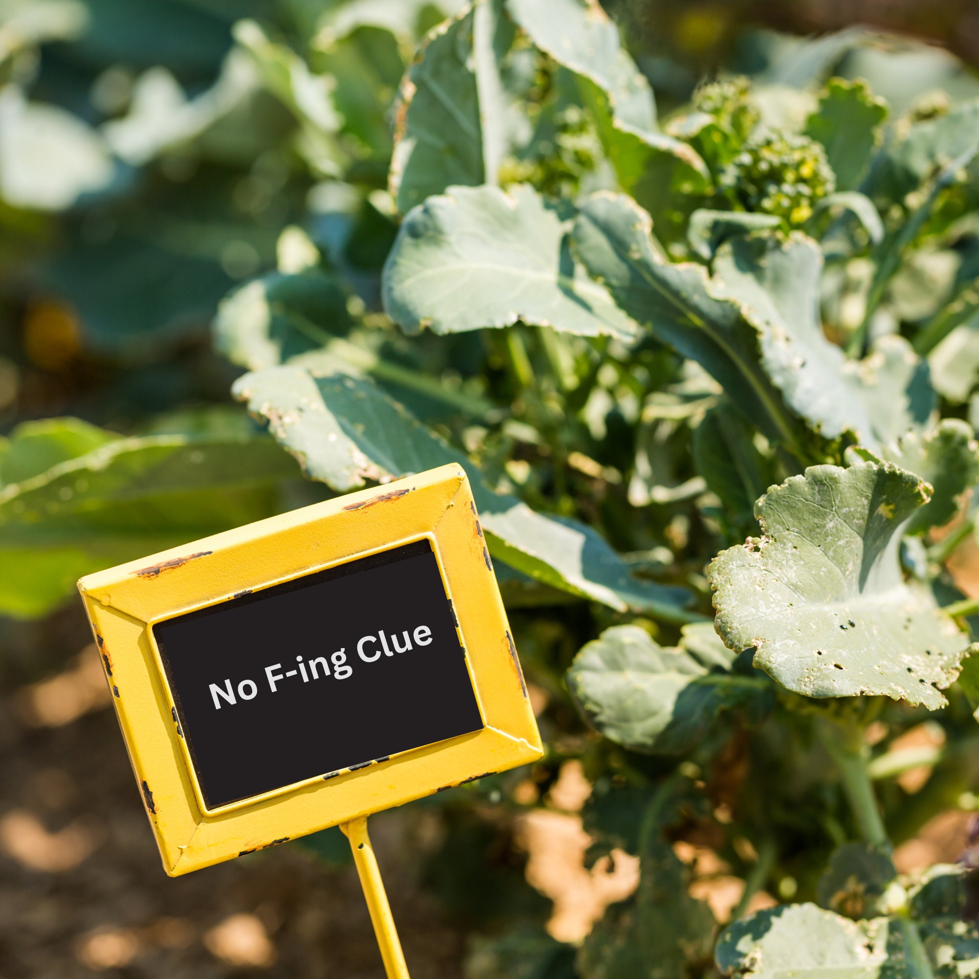 Garden Label SVG Bundle Plant Labels for Vegetable Garden Funny Plant ...