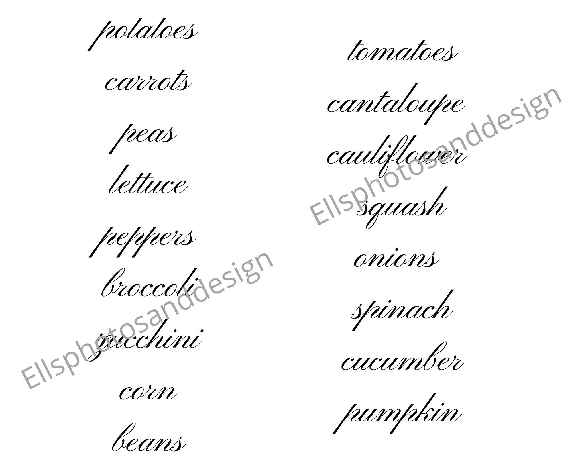 SVG Files for Vegetable Garden Plant Labels | Fun Fonts for Cricut ...