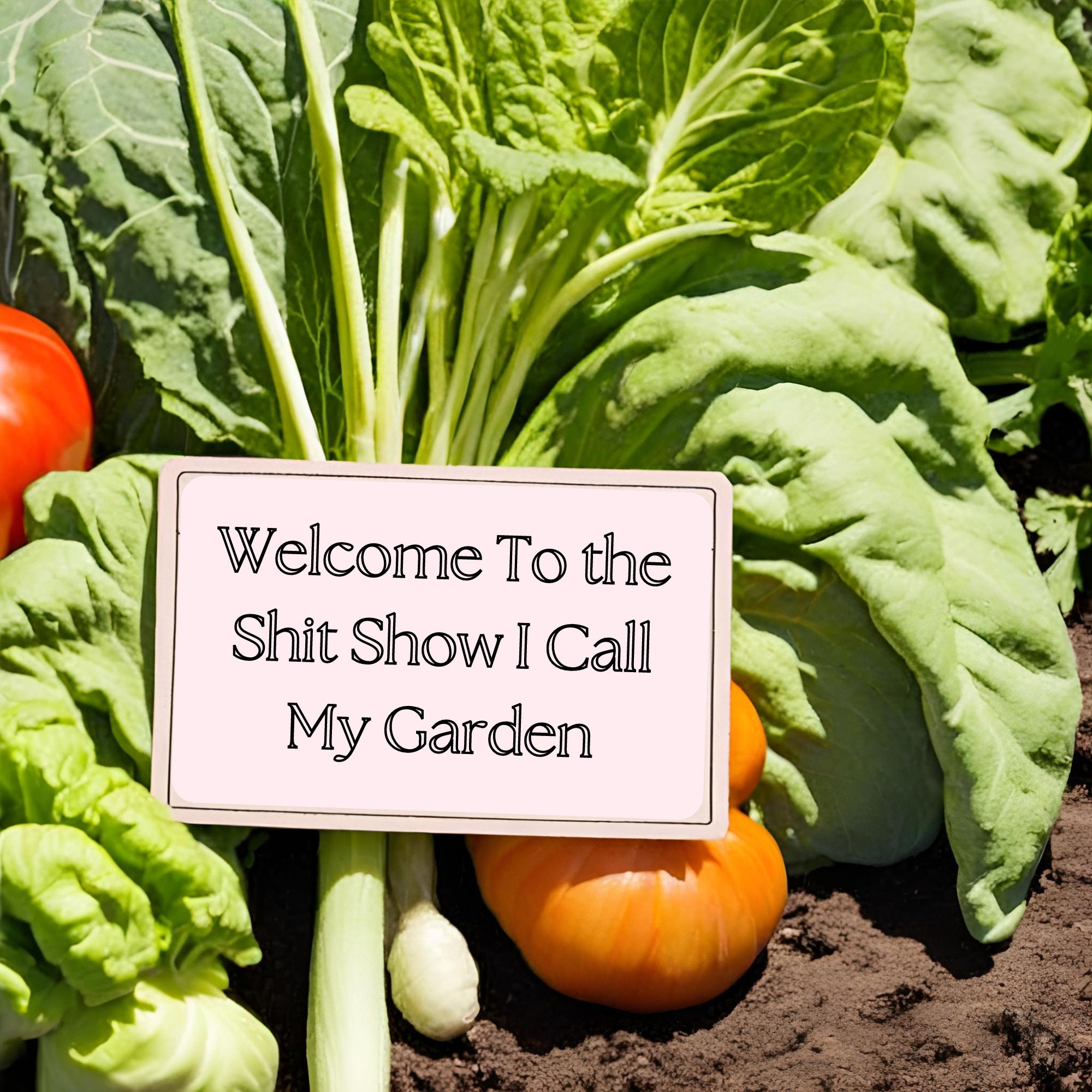 Garden Label SVG Bundle Plant Labels for Vegetable Garden Funny Plant ...